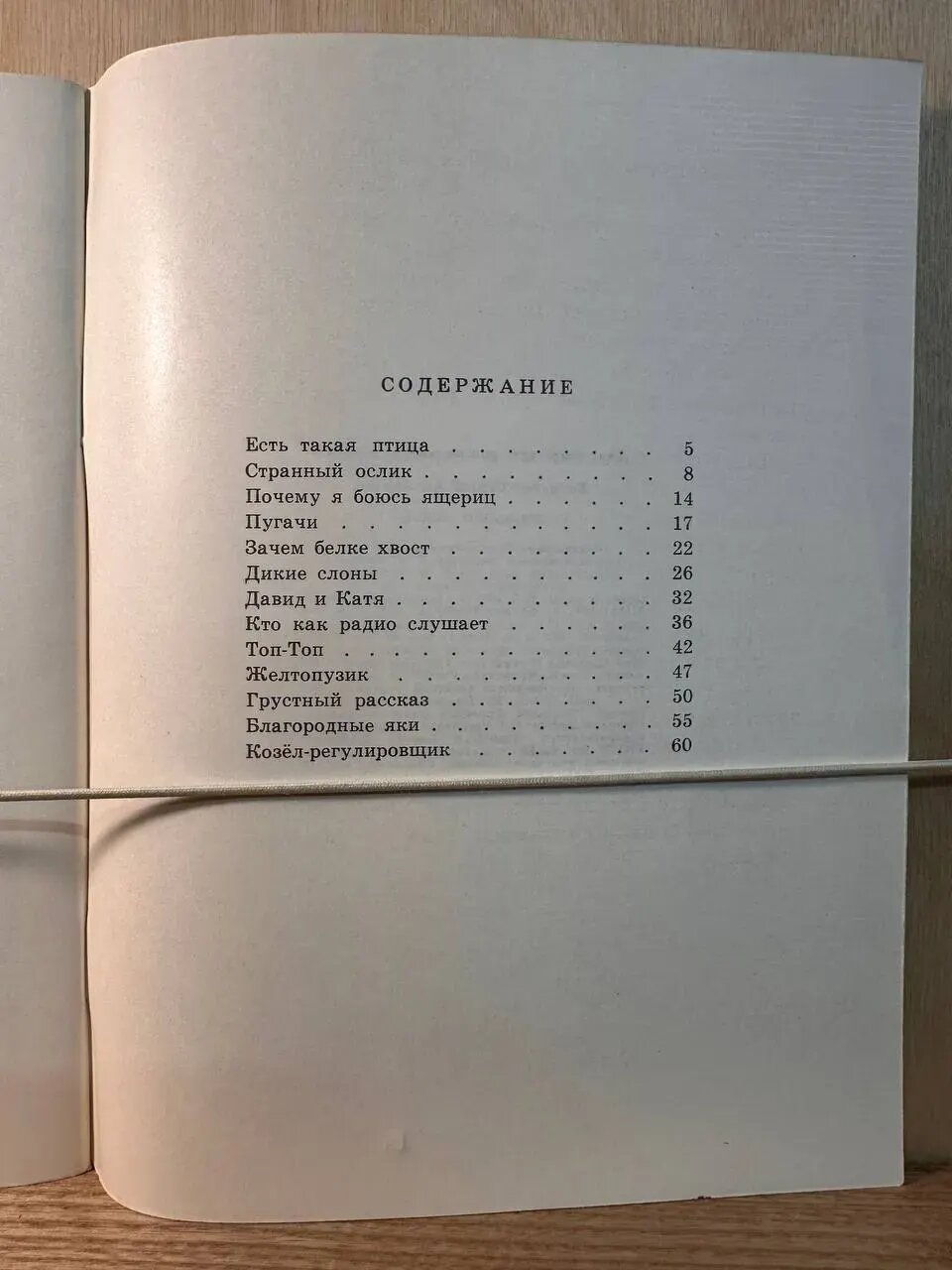 Странный ослик — фото 1