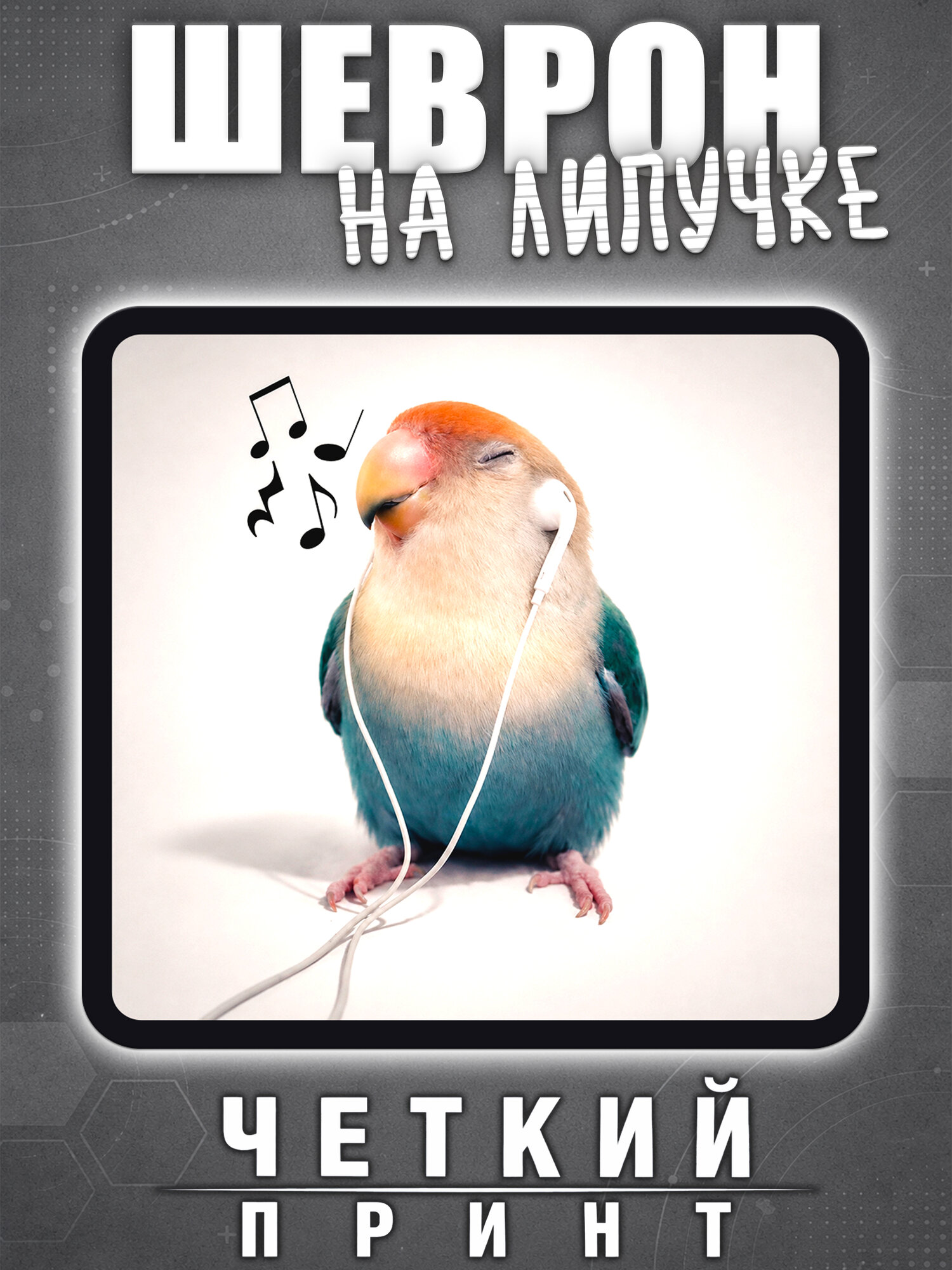 Шеврон попугай в наушниках