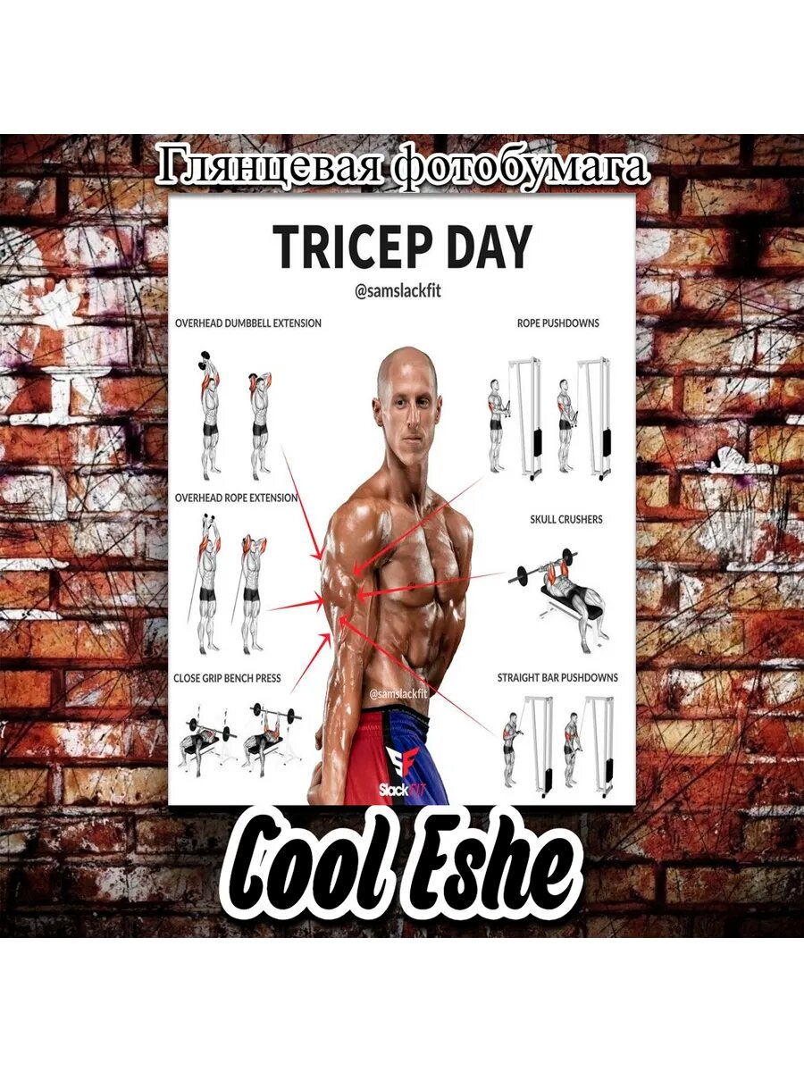Постер "Tricep day, день трицепсов, тренировка" А3
