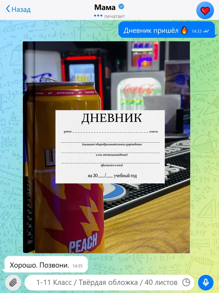 Школьный дневник с принтом Роблокс
