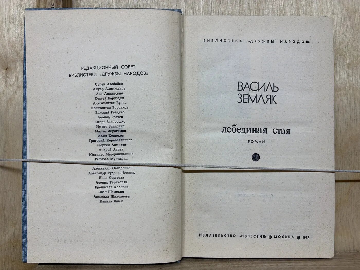 Лебединая стая — фото 1