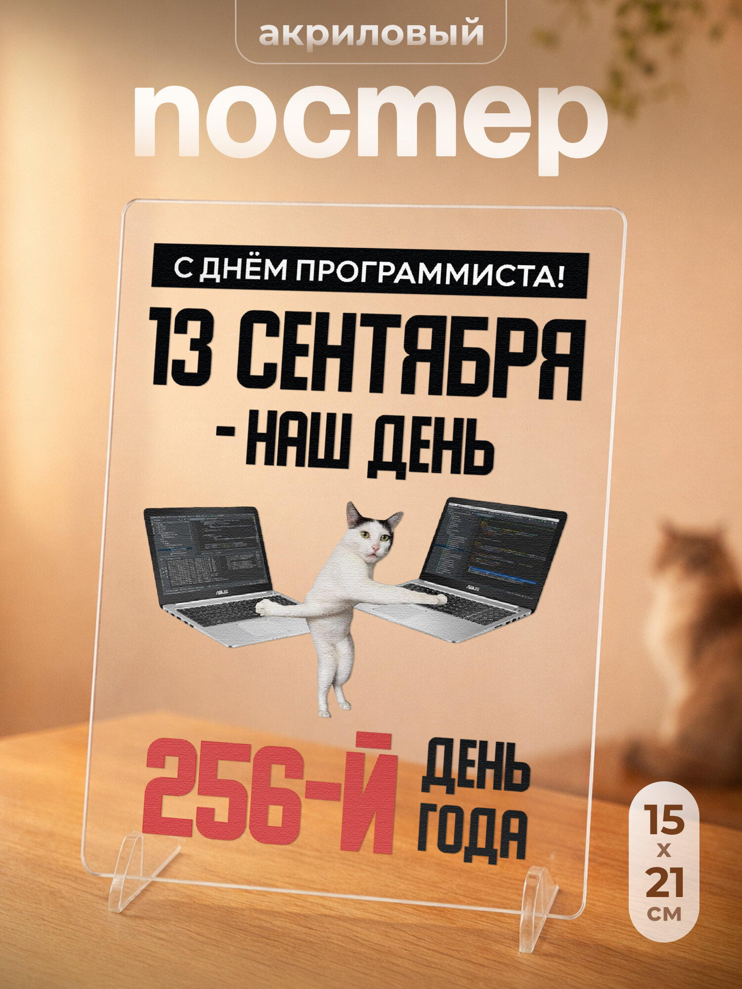 Постер на подставке подарок программисту