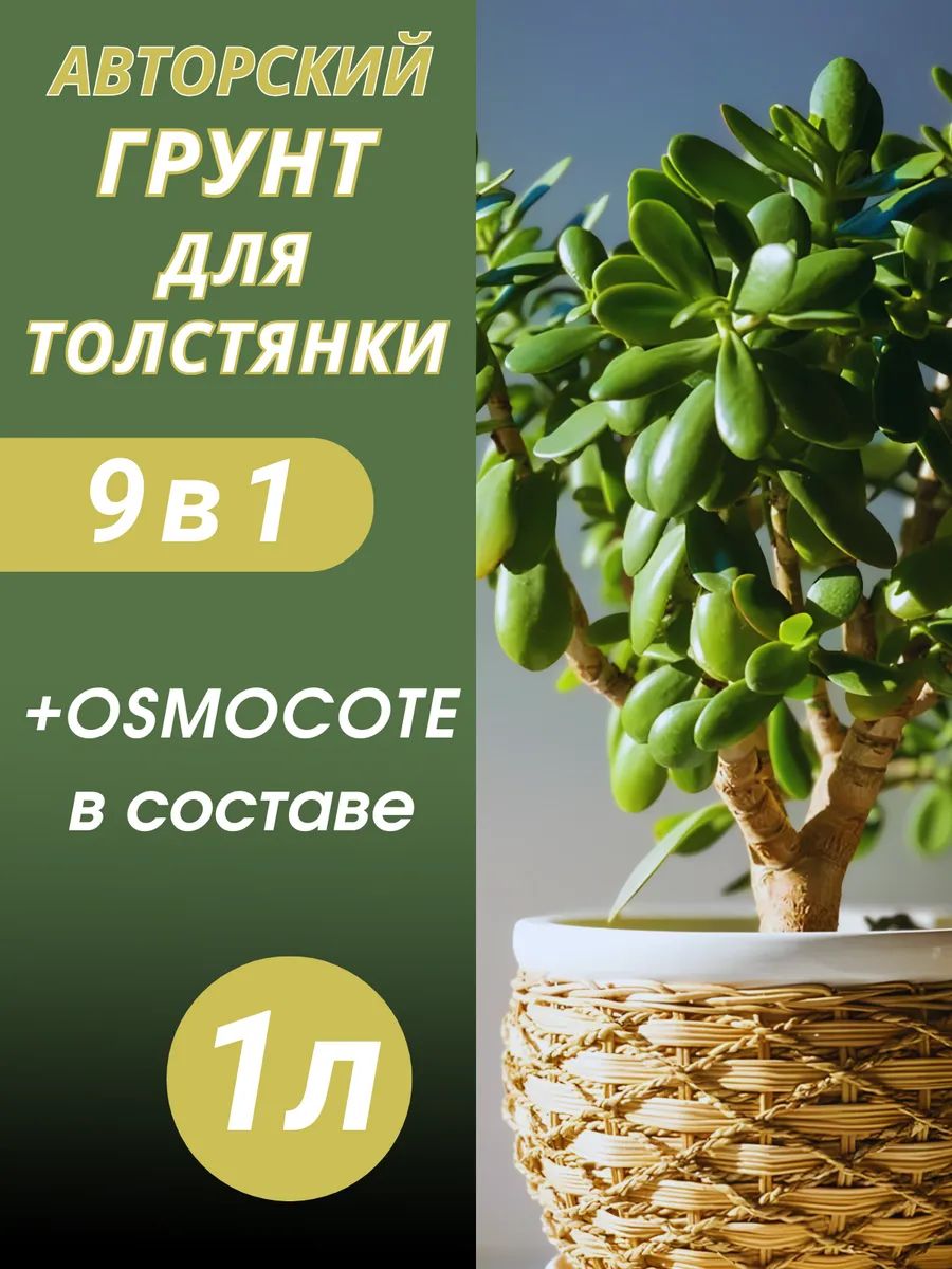 Грунт для Толстянки 1л готовый