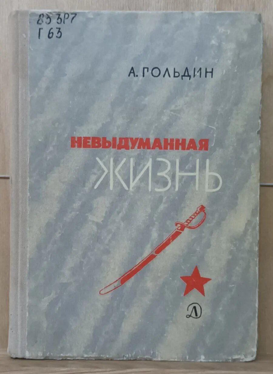 Невыдуманная жизнь: О школьных годах и боевой юности Аркадия Гайдара