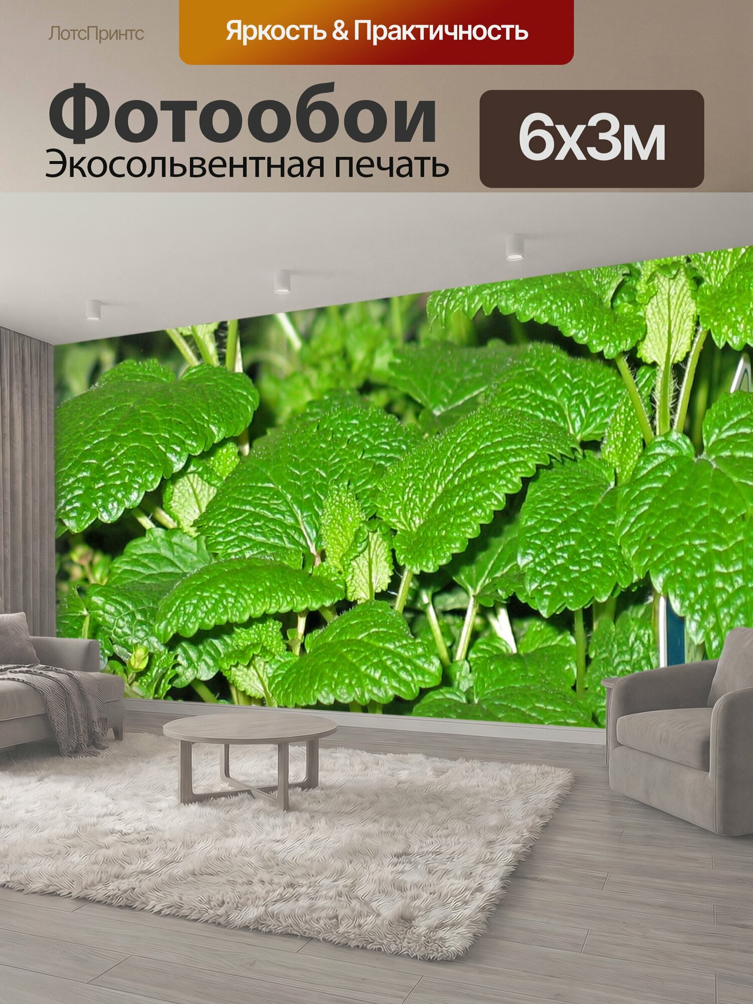 Фотообои "Травы, мята, тимьян" 600x300 см. экосольвентная печать