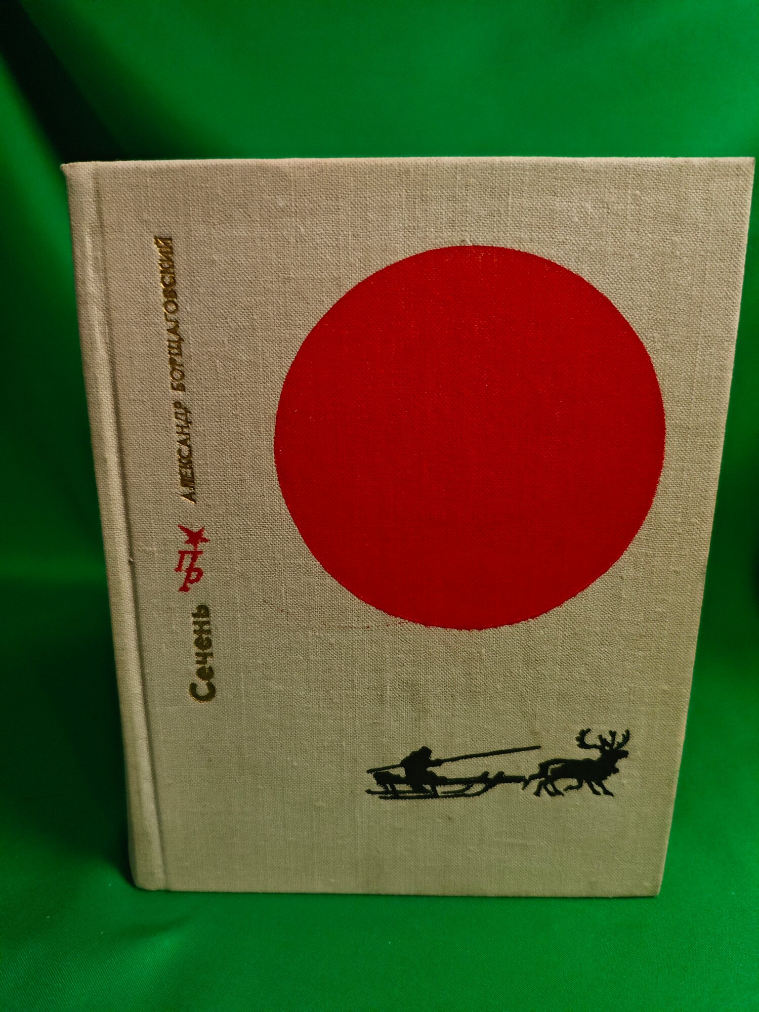 Сечень Букинистическая книга для всех. Печатное издание. Для чтения.