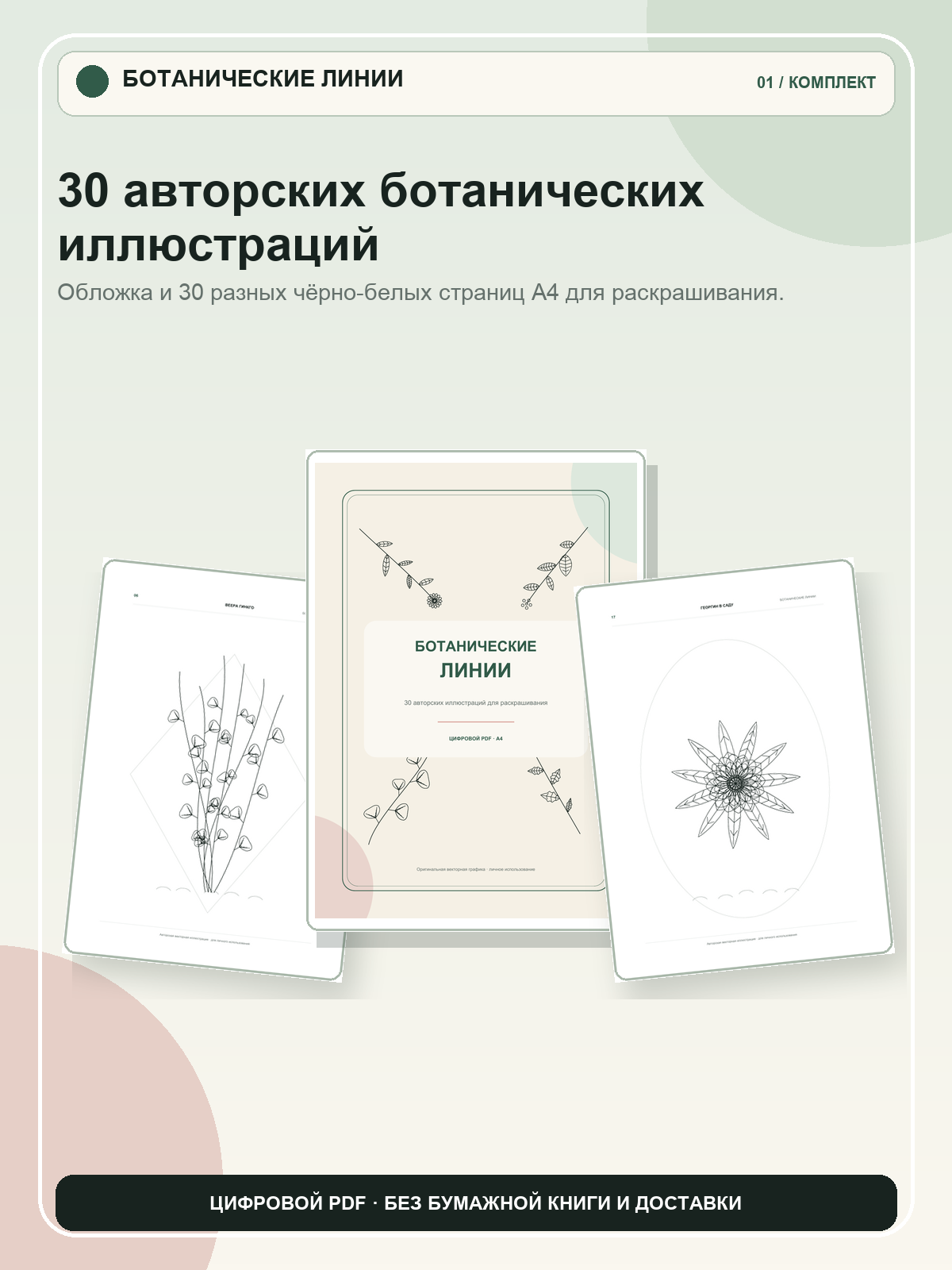 Ботанические линии: раскраска PDF A4, 30 авторских иллюстраций