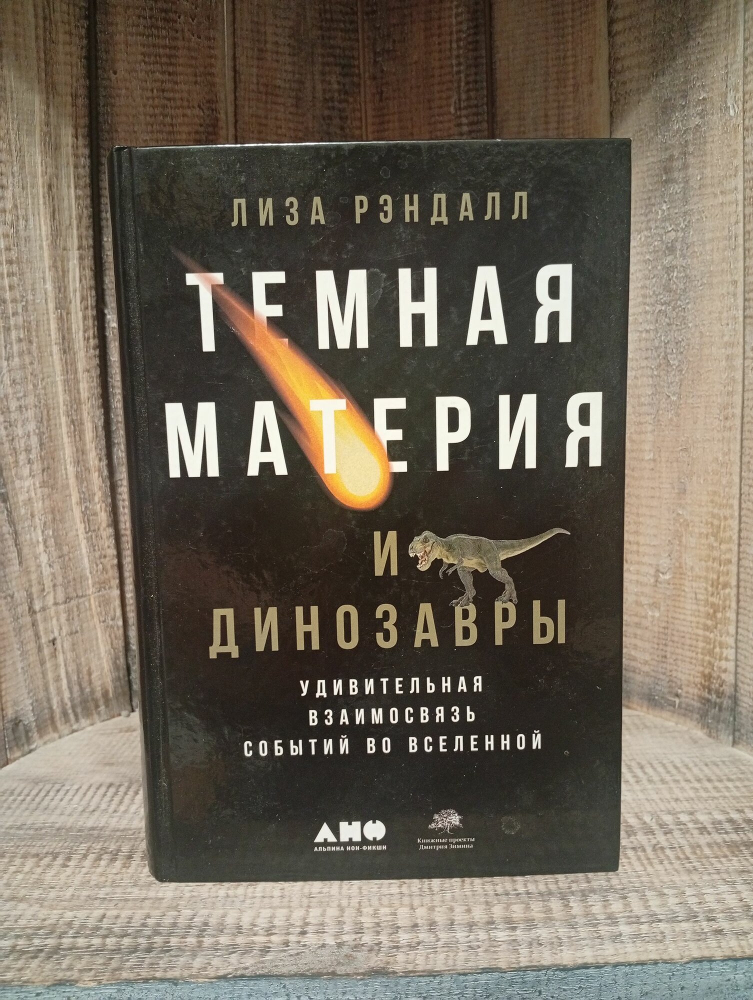 Темная материя и динозавры. Удивительная взаимосвязь событий во Вселенной Рэндалл Лиза
