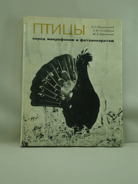 Птицы перед микрофоном и фотоаппаратом.