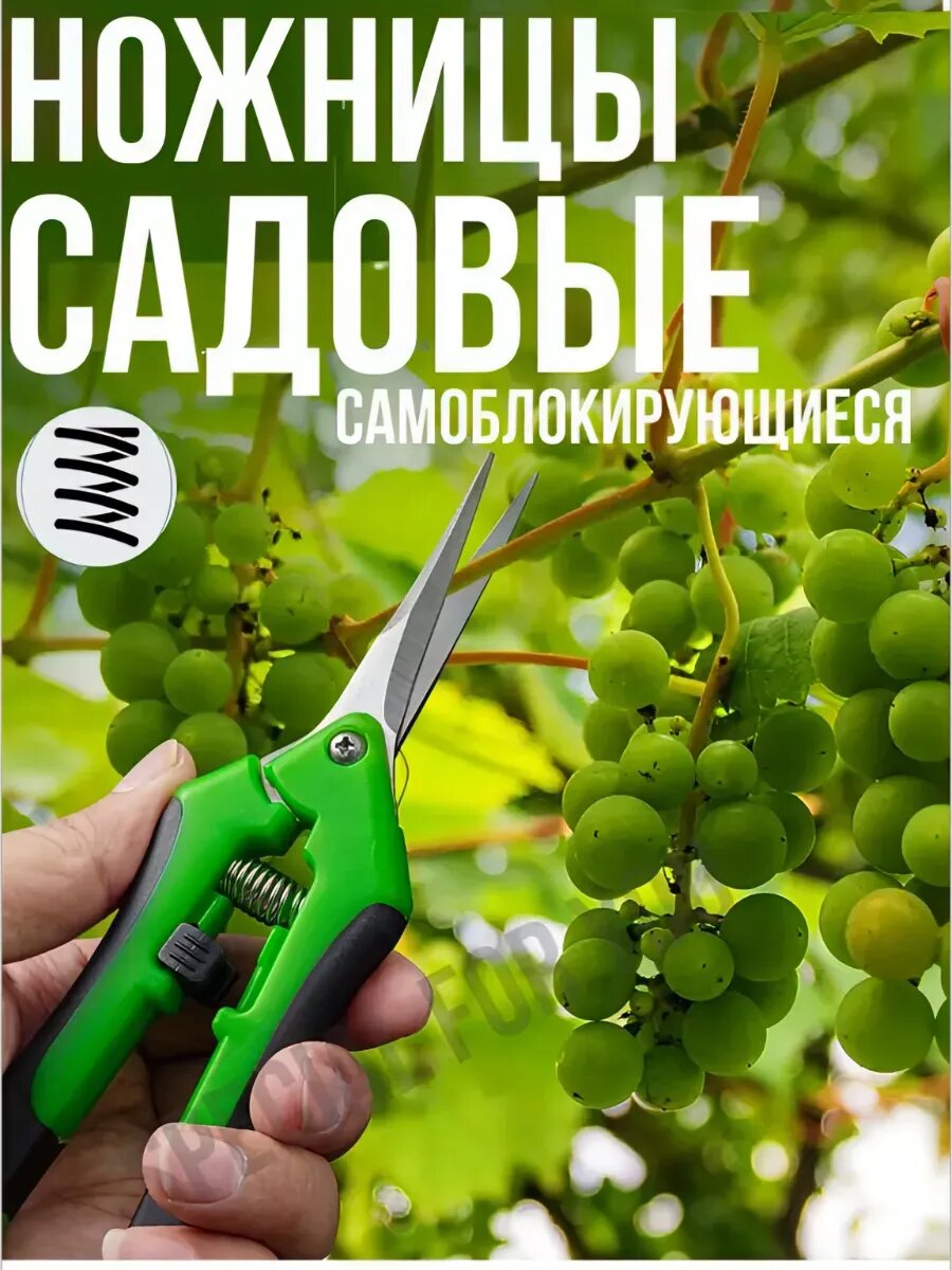 Ножницы садовые секатор для кустов и цветов