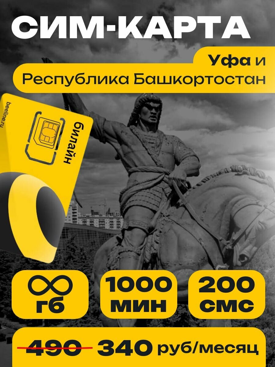 Сим-карта Билайн тариф Эксклюзивный Плюс Республика Башкортостан Безлимитный интернет и 1000 минут за 340 руб.