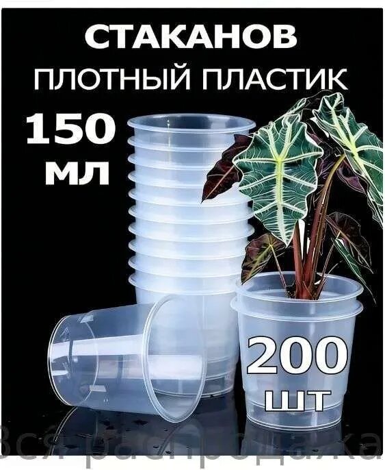 Стаканы одноразовые пластиковые, прозрачные 150мл для напитков, соков, рассады, черенков, суккулентов, фиалок