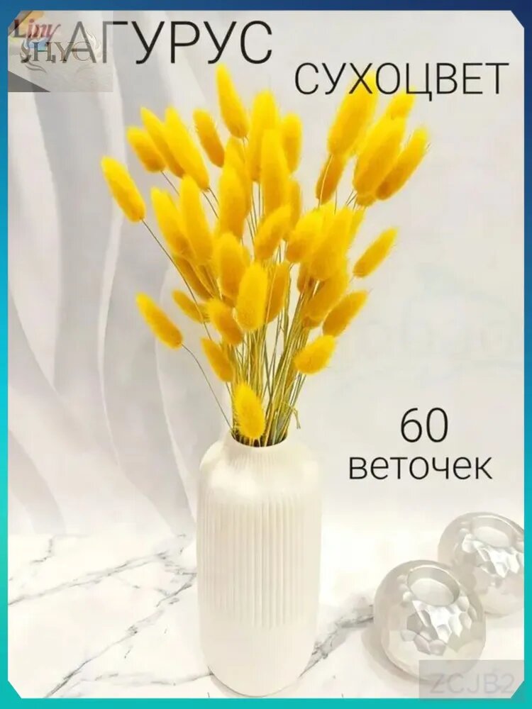 Сухоцветы Лагурус, 55 см, 100 гр, 60 шт