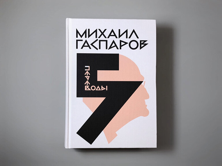 Собрание сочинений в шести томах. Т. 5: Переводы. О переводах и переводчиках