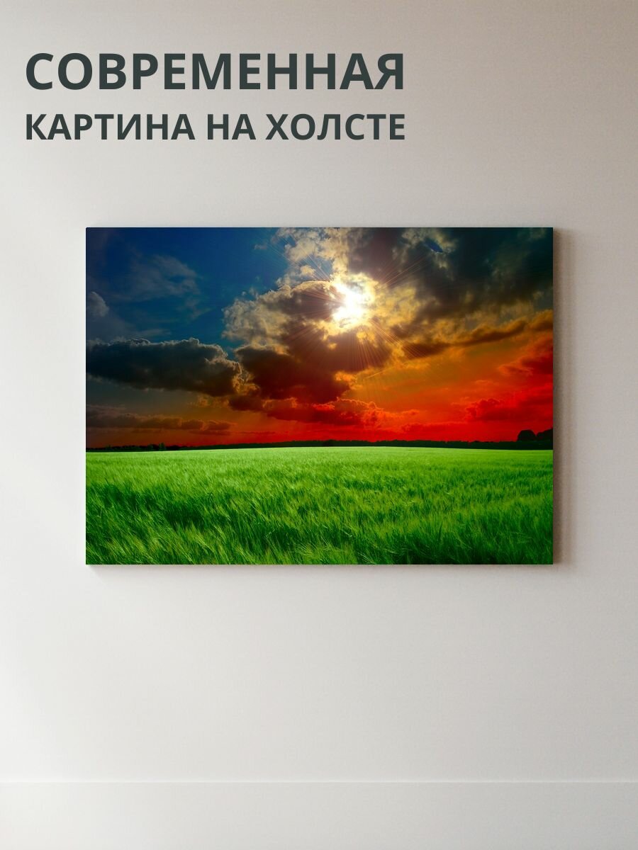 Картина на холсте Поле 70x50 см