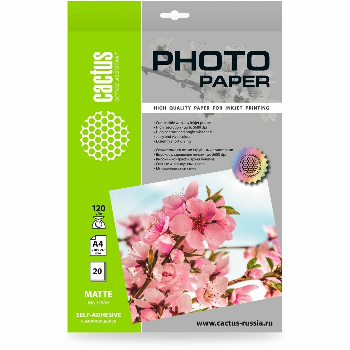 Этикетки Cactus CS-MSA412020 A4 120г/м 20л матовая
