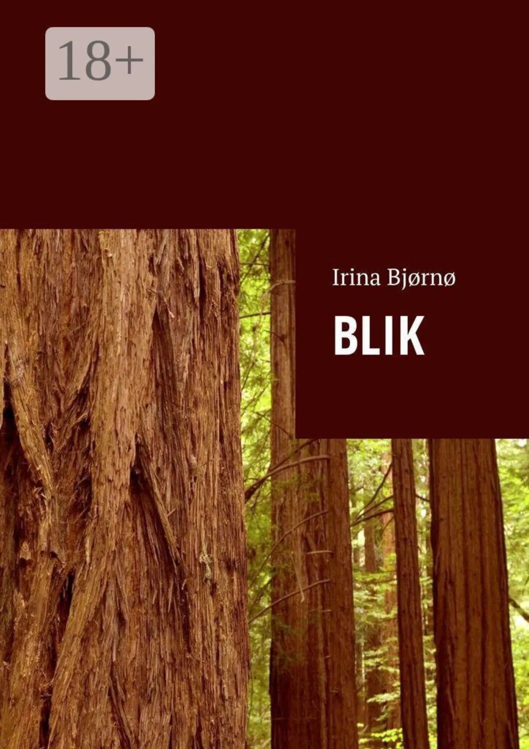 Blik [Цифровая книга]
