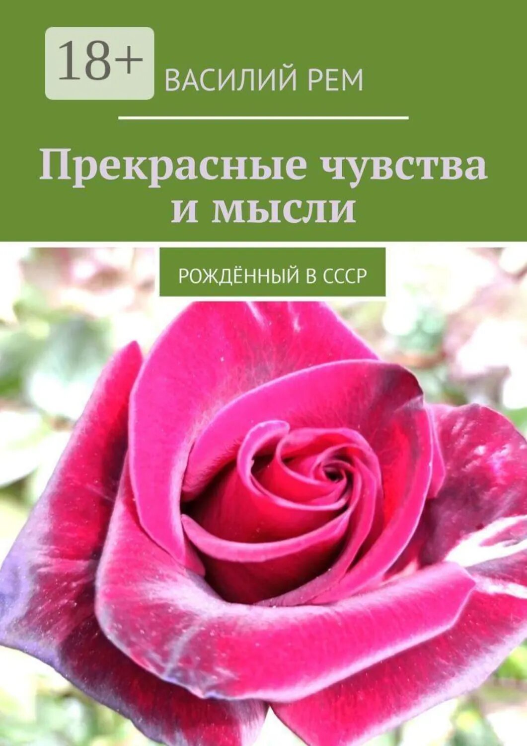 Прекрасные чувства и мысли. Рождённый в СССР [Цифровая книга]
