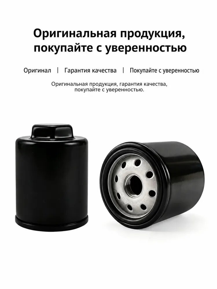 BASHAN 320CC BS175MN Масляный фильтр 1шт