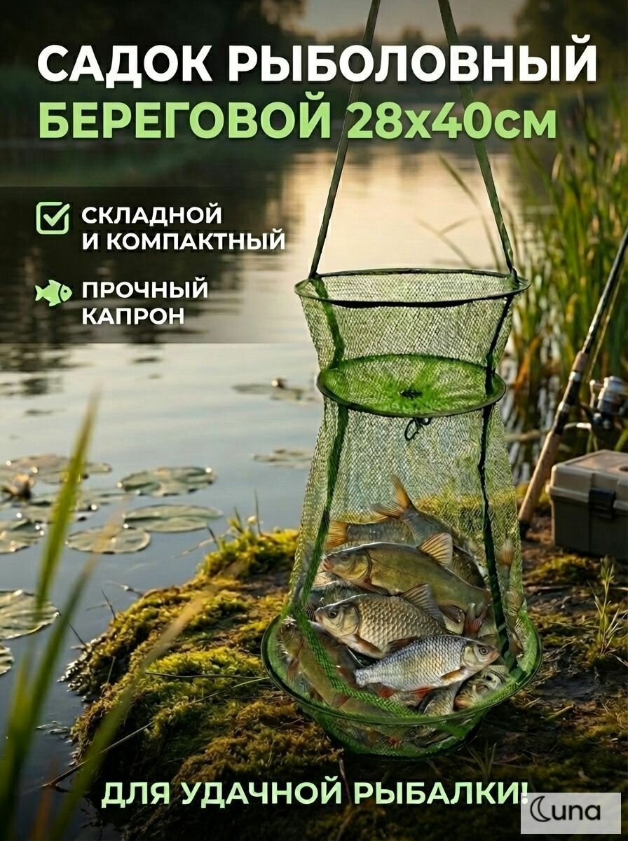 Садок, 40 см