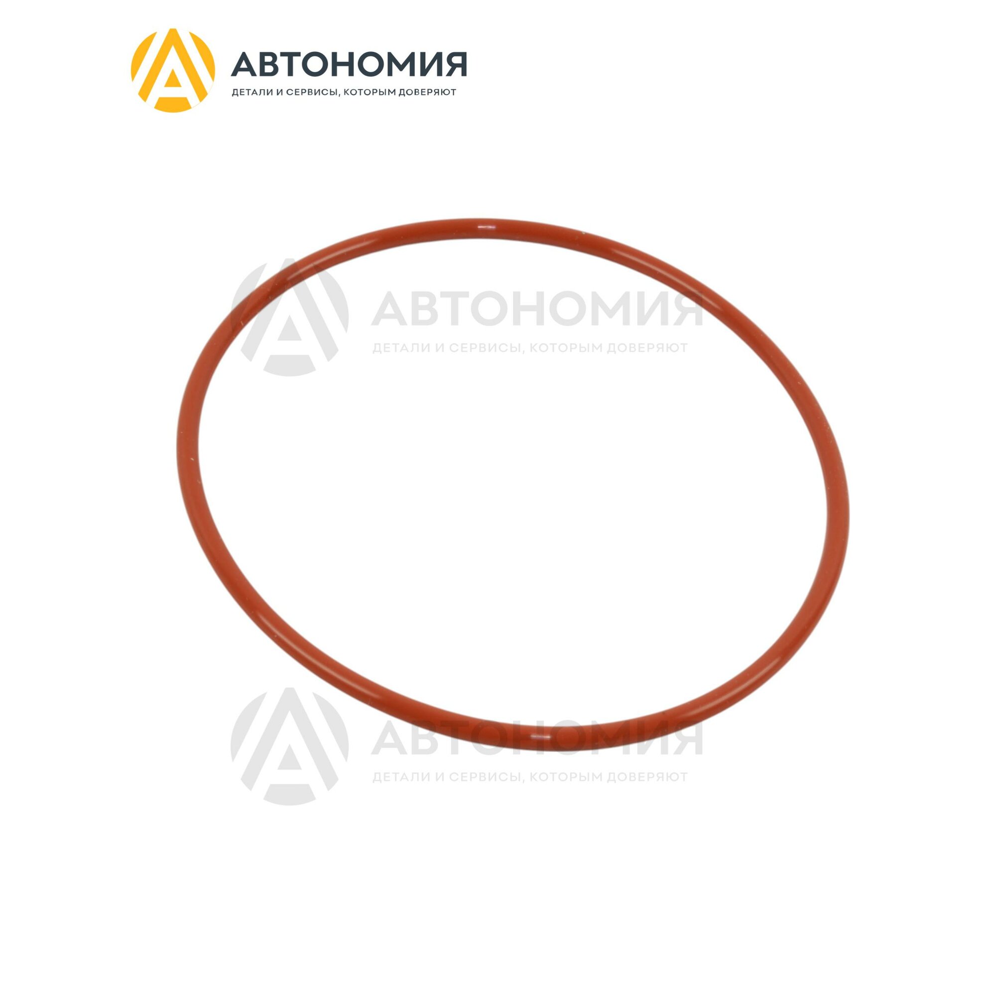 Кольцо уплотнительное вакуумного насоса (большое) Ford 4037623