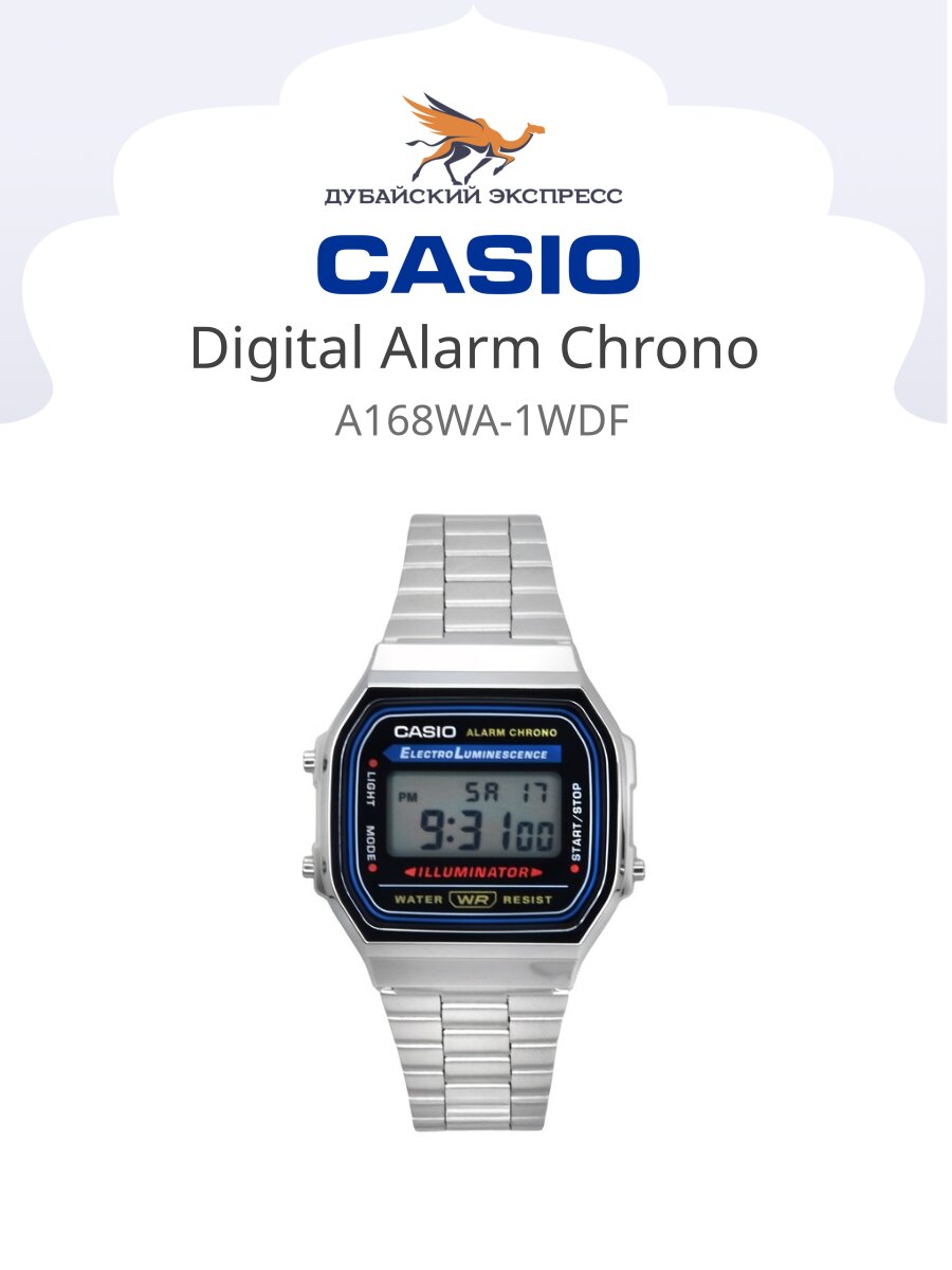  CASIO