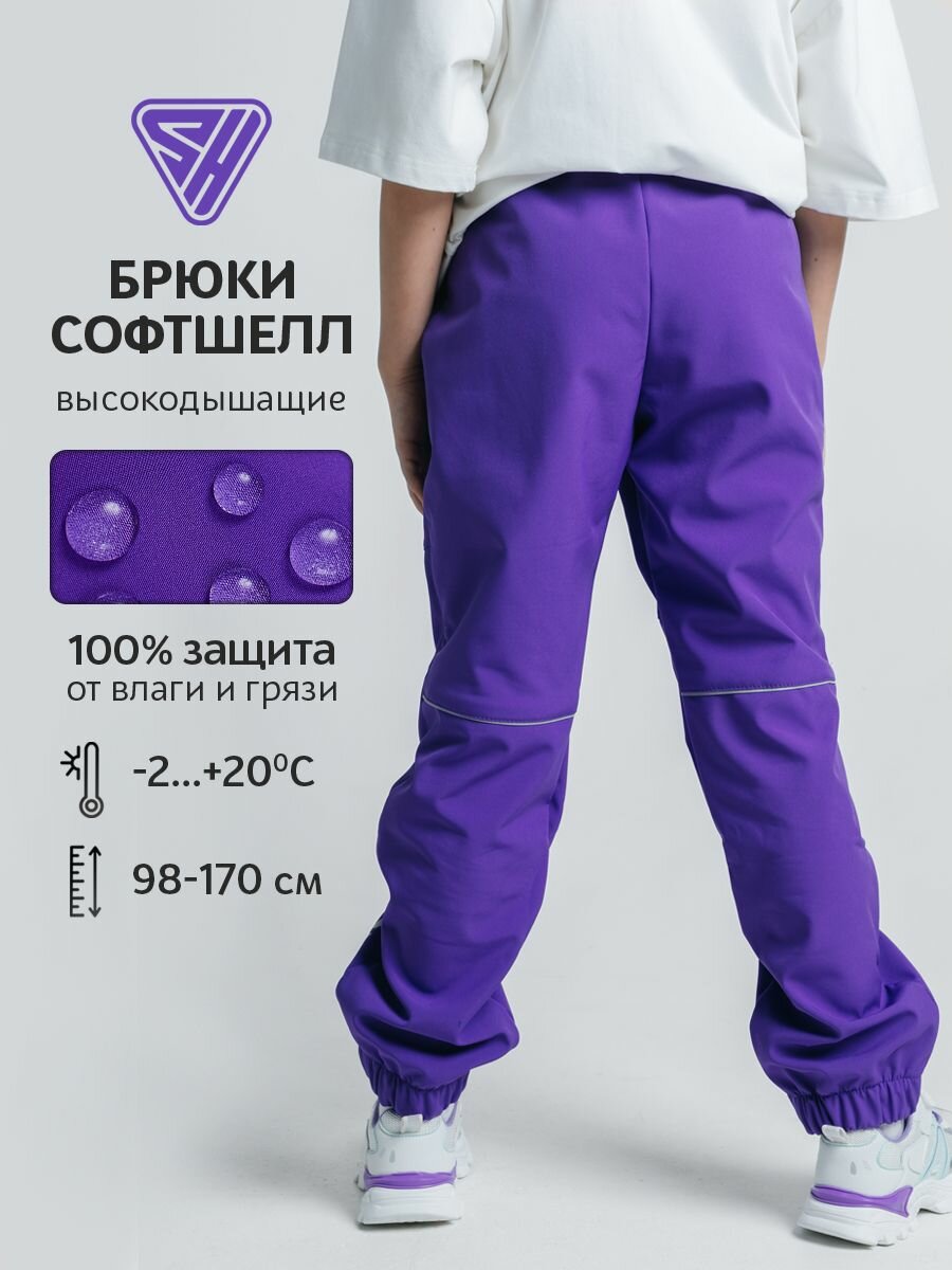 Брюки утеплённые Весна-лето 2026