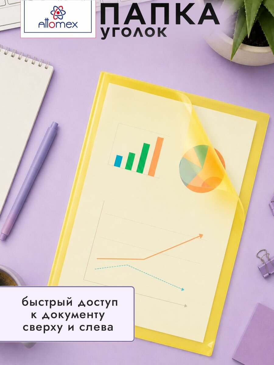Папка-уголок для документов А4 4 штук — фото 1