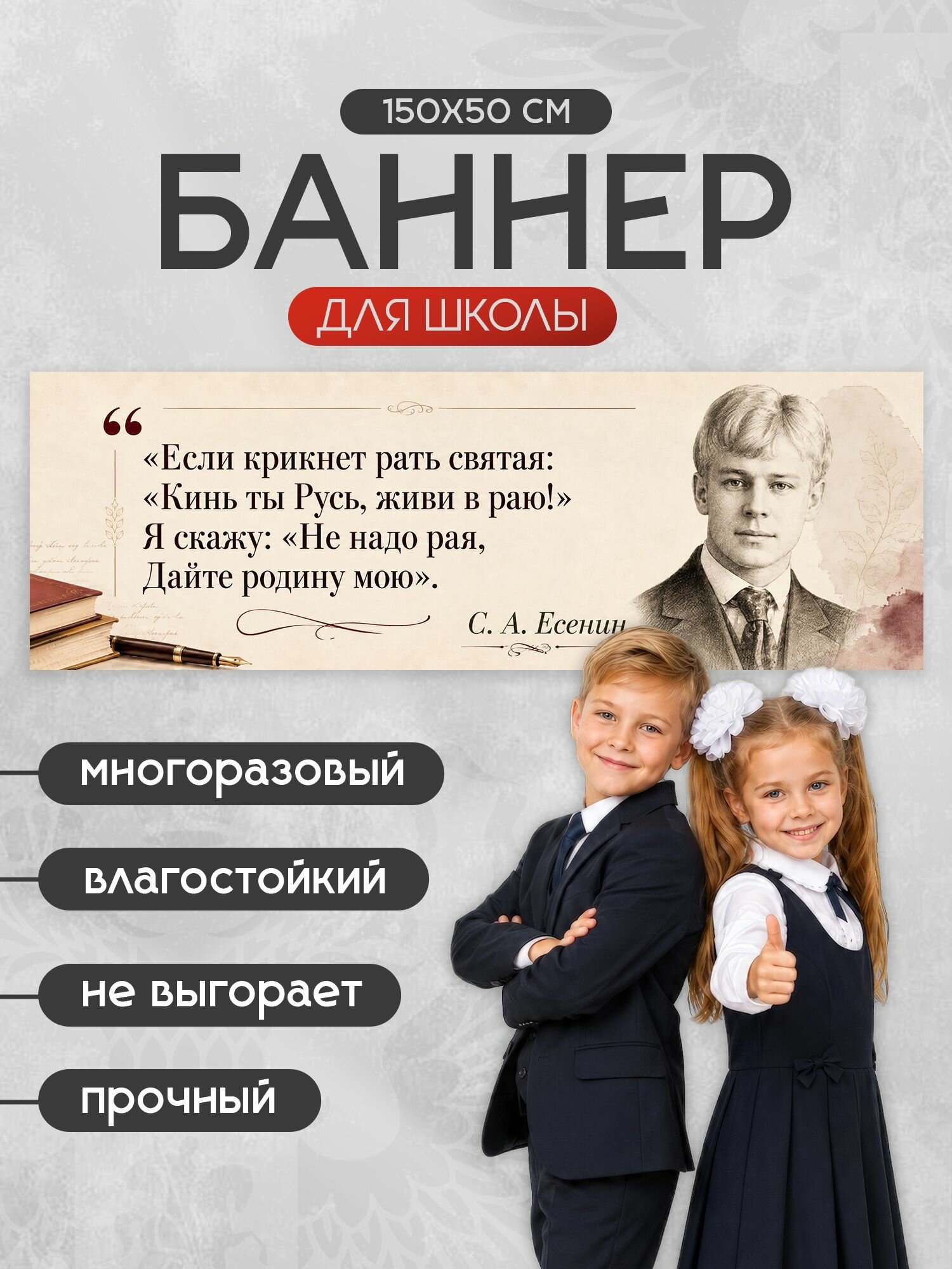 Плакат для школы баннер писатели и поэты
