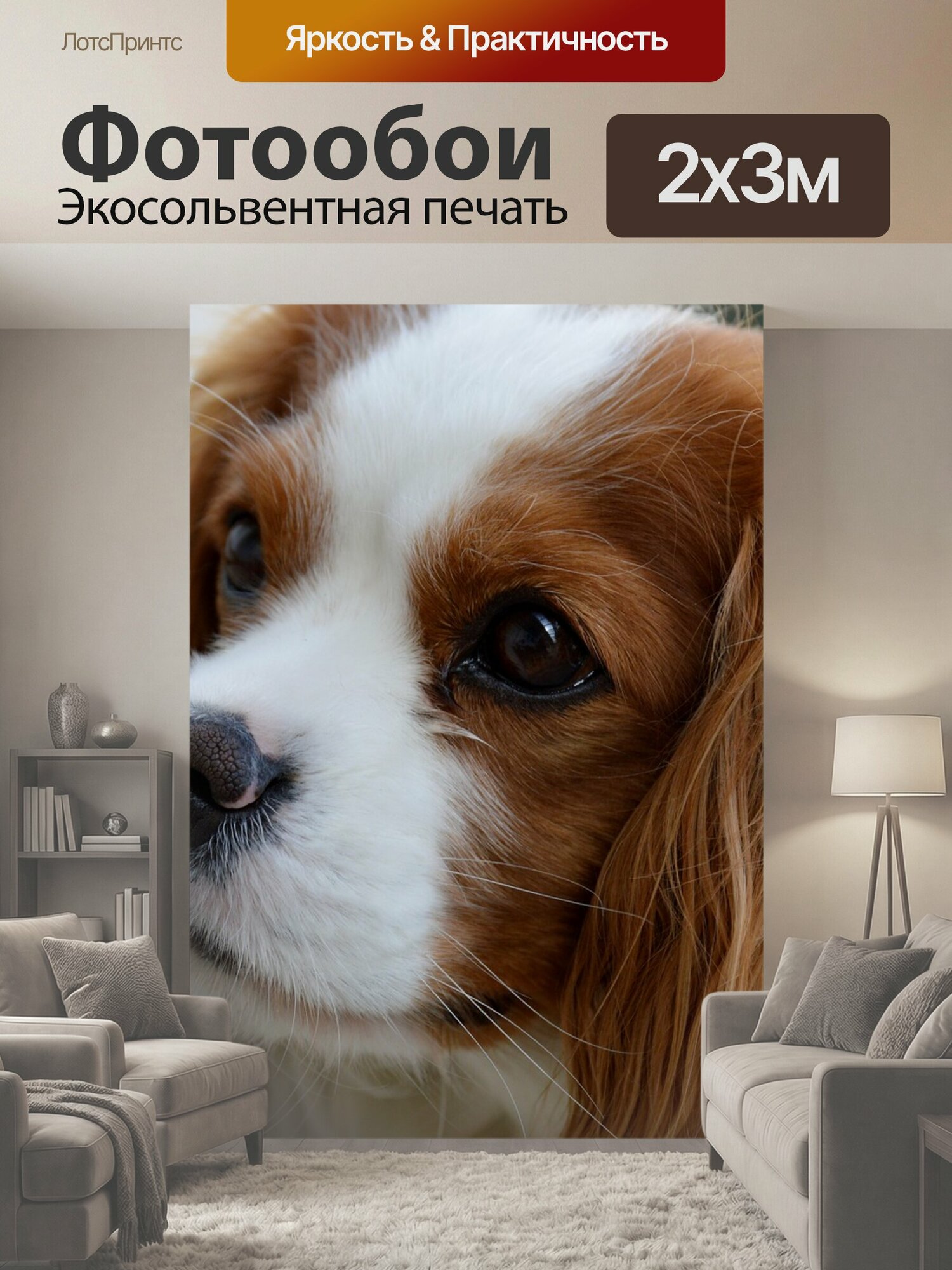 Фотообои "Собака, кавалер кинг чарльз спаниель, веселая" 200x300 см. экосольвентная печать