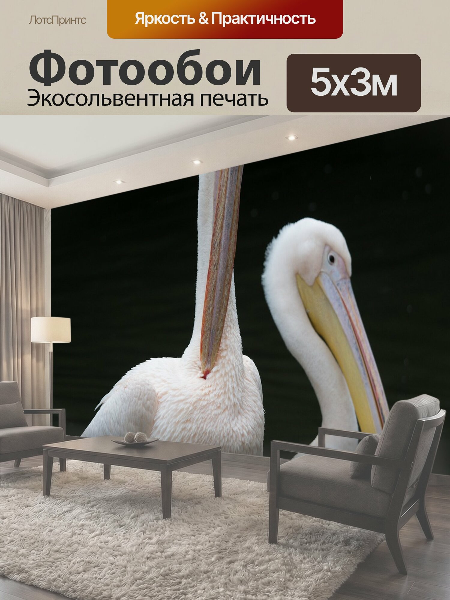 Фотообои "Пеликан, птица, природа" 500x300 см. экосольвентная печать