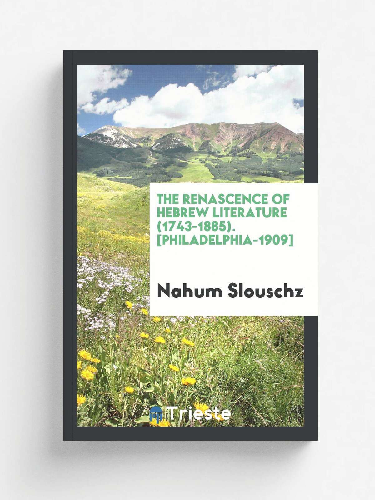The renascence of Hebrew Literature (1743-1885)