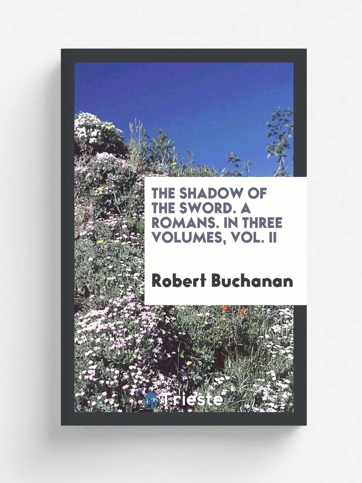 The Shadow of the Sword. A Romans. In Three Volumes, Vol. II