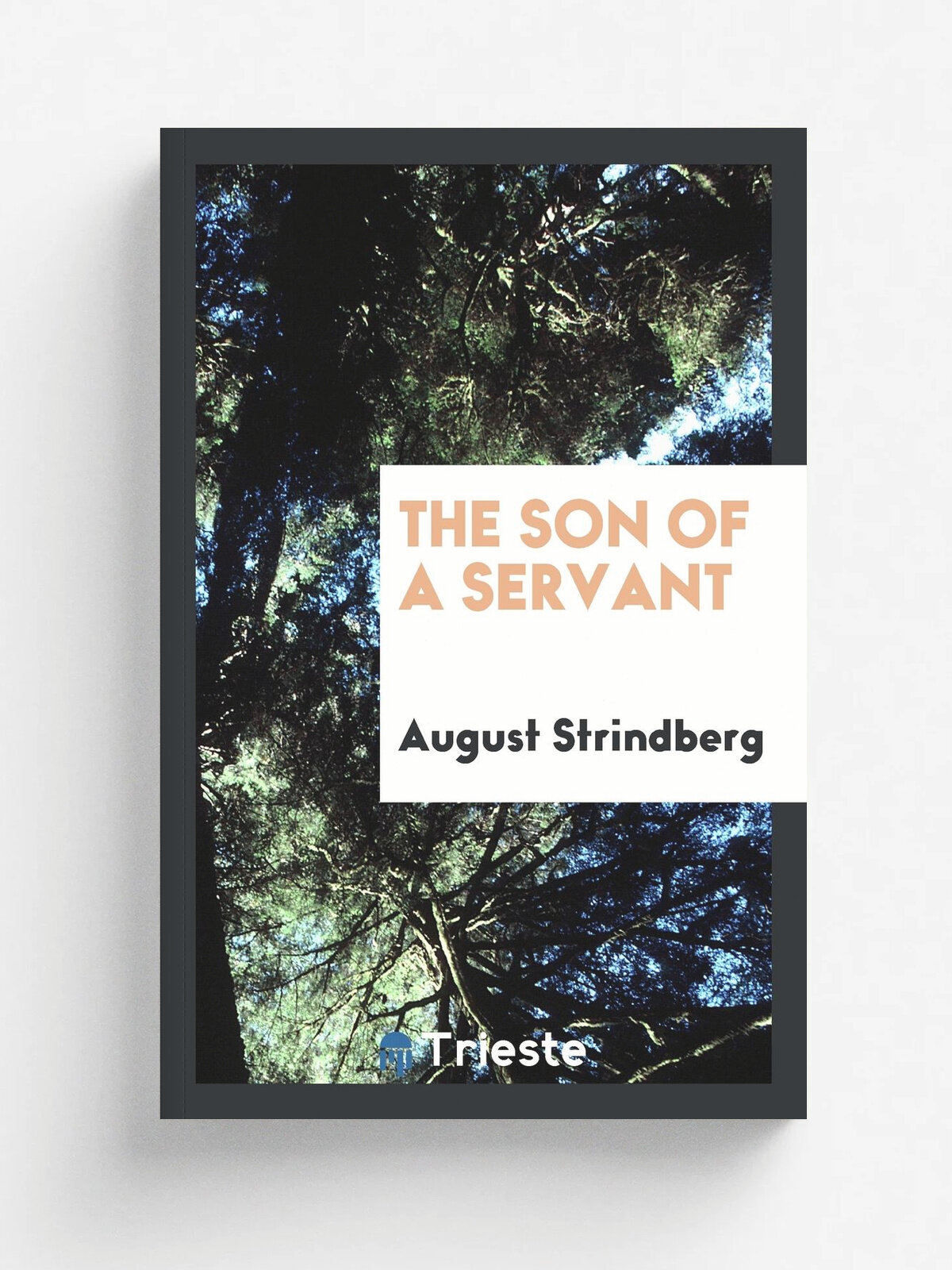 The son of a servant
