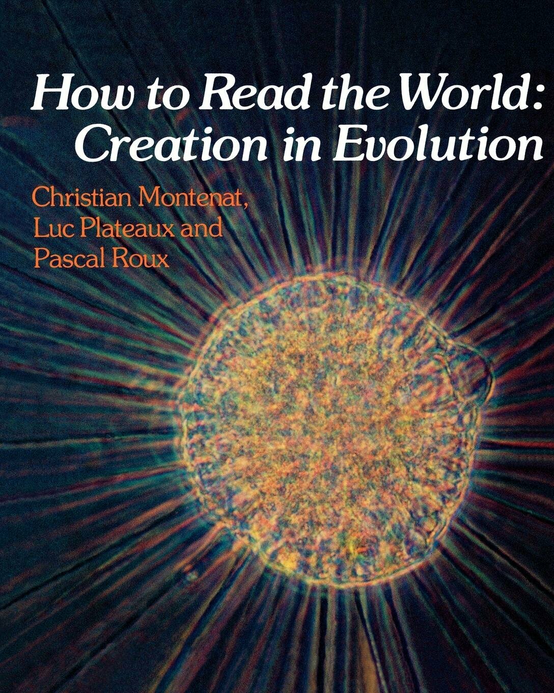 How to Read the World. Creation in Evolution — фото 1