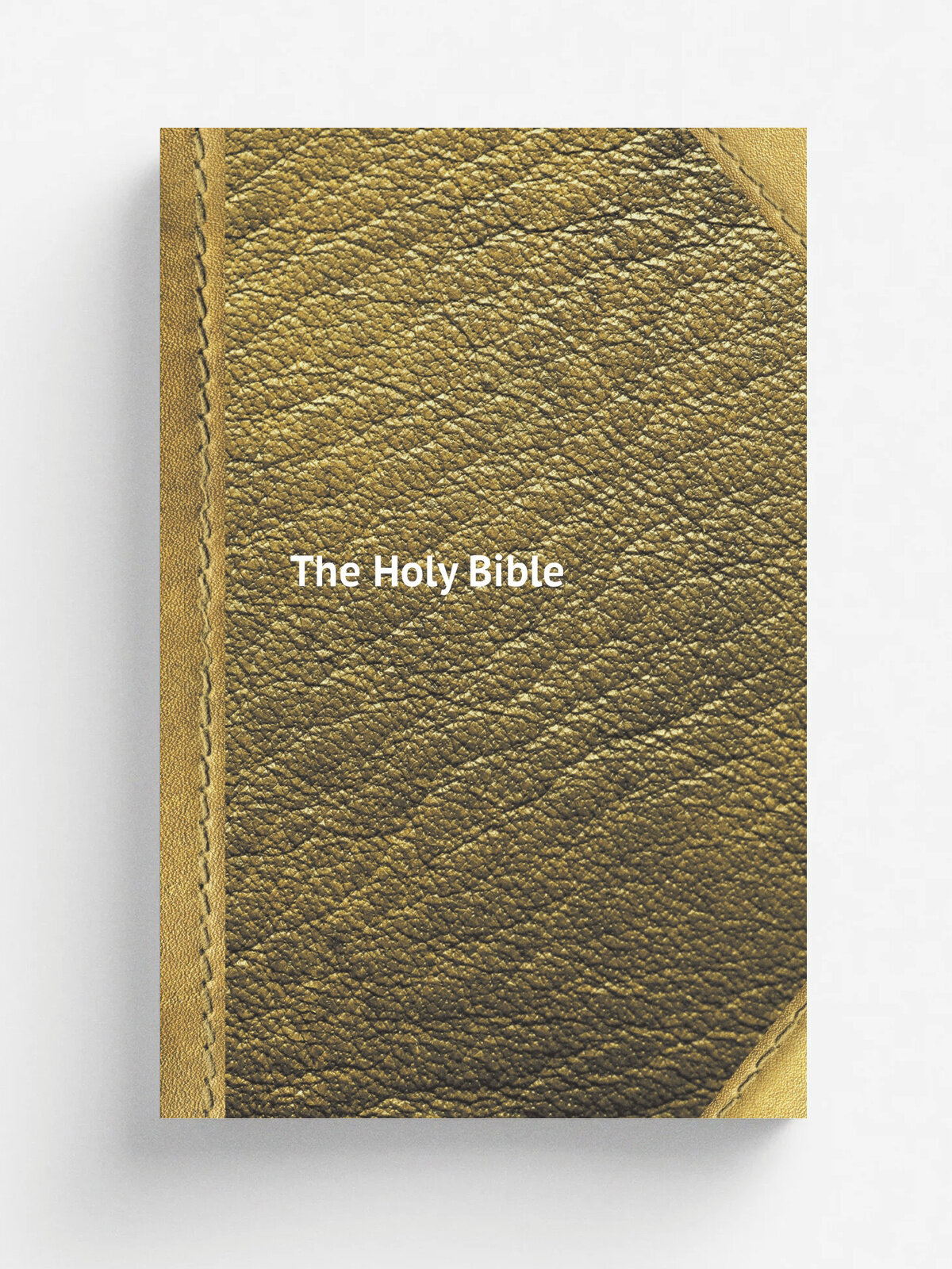 The Holy Bible