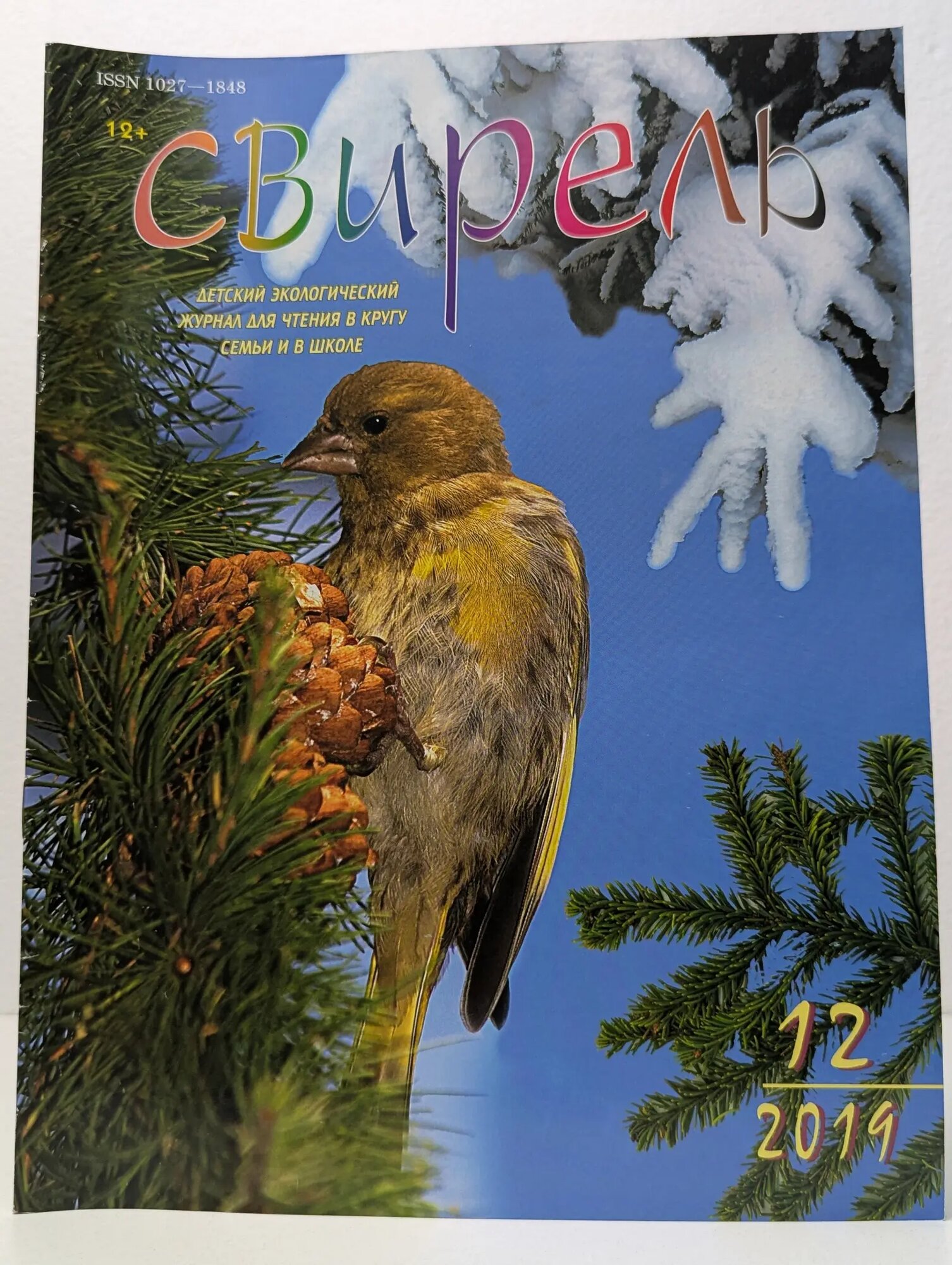 Свирель. Выпуск № 12/2019 Скороходов Максим (ред.) 2019
