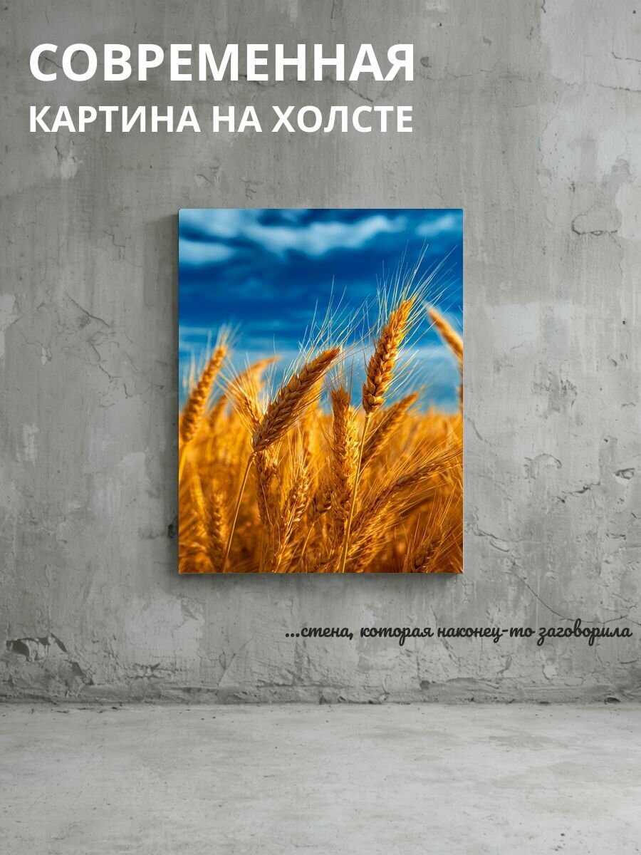 Картина на холсте Поле 40x60 см