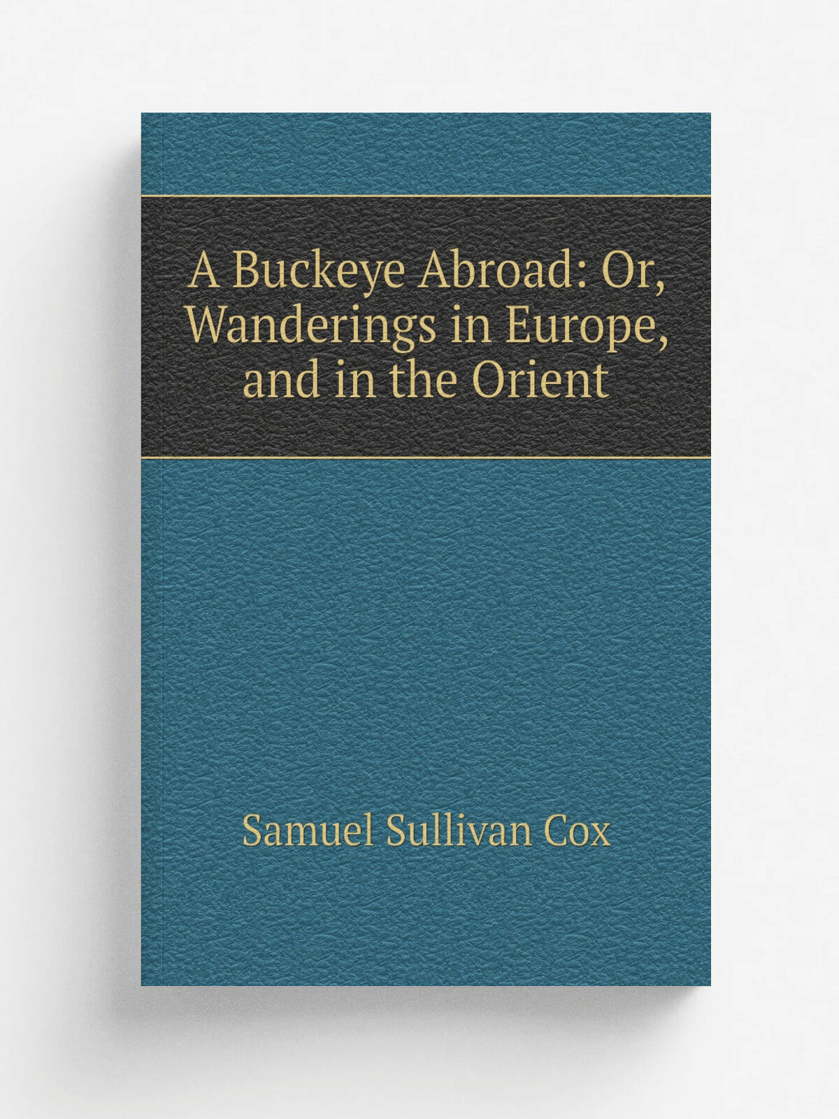 A Buckeye Abroad: Or, Wanderings in Europe, and in the Orient
