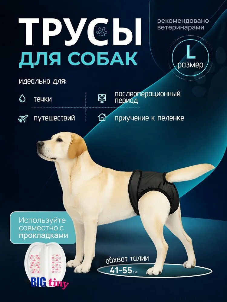 Трусы для собак во время течки L, многоразовые подгузники для собак девочек, для крупных пород