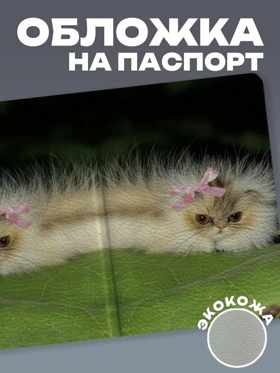 Обложка для паспорта