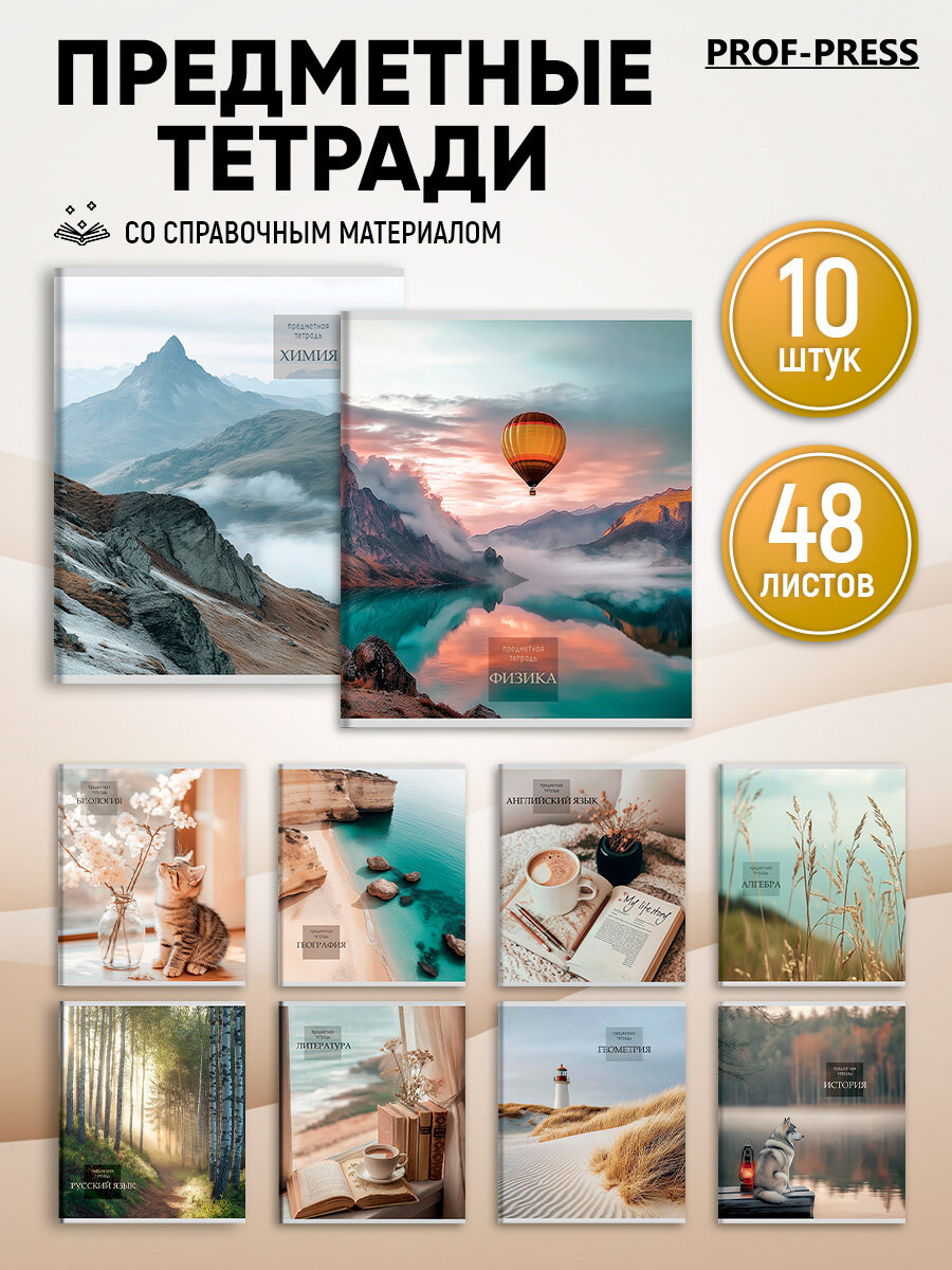 Тетради предметные 48 листов Prof-Press набор 10 штук