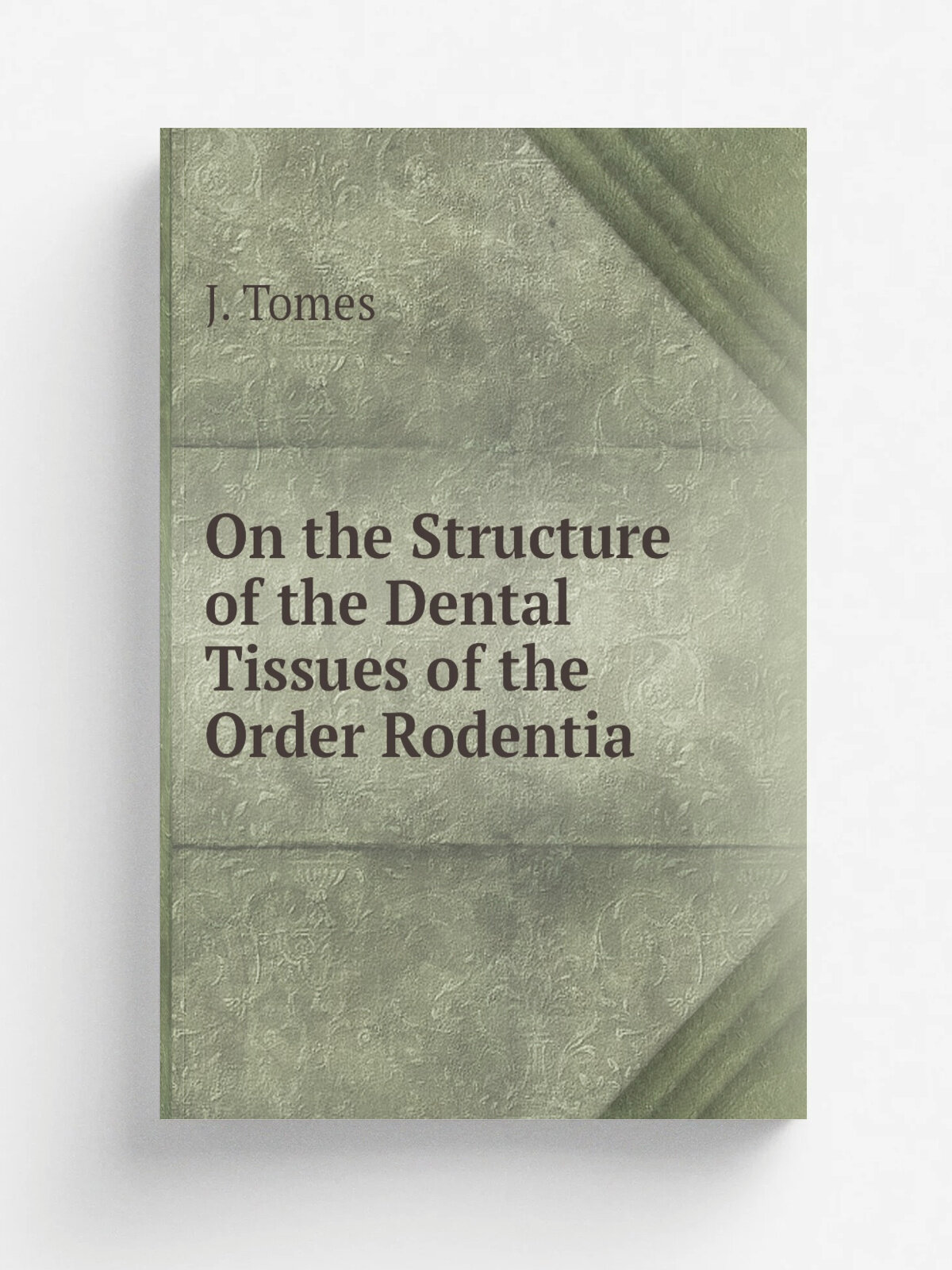 On the Structure of the Dental Tissues of the Order Rodentia