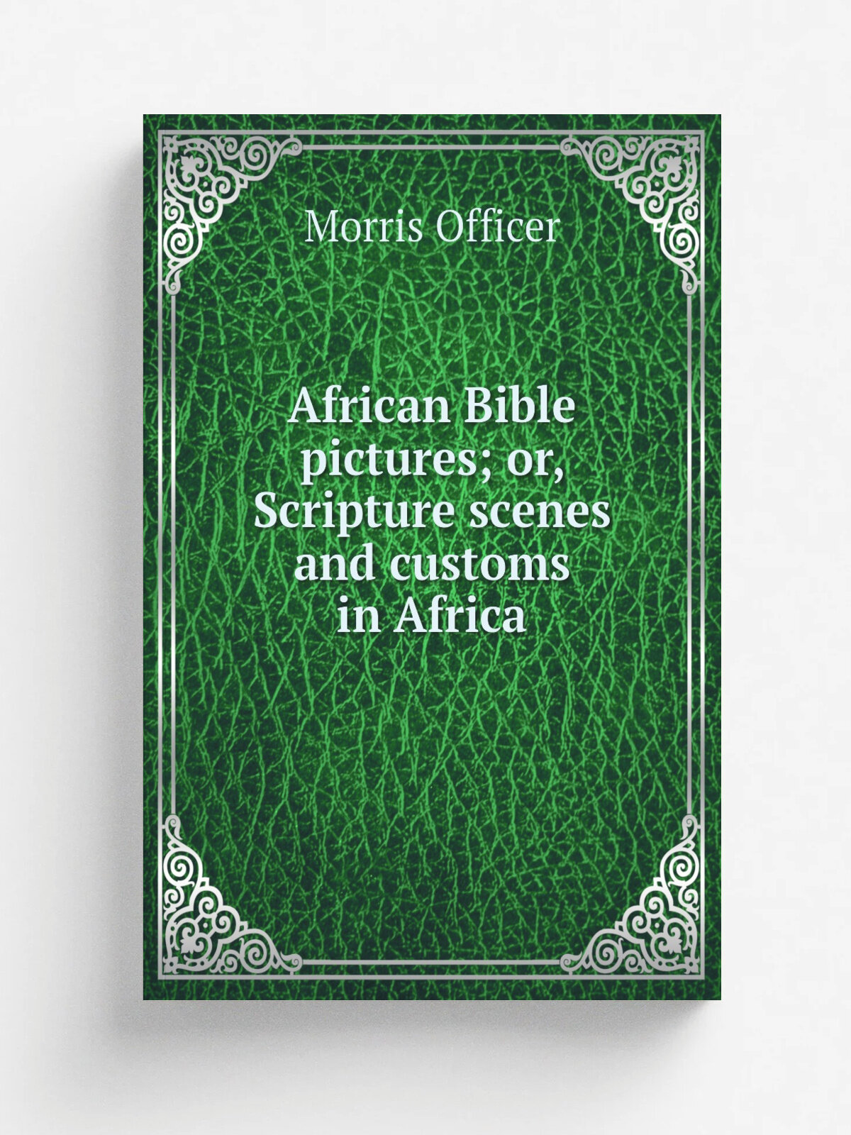 African Bible pictures; or, Scripture scenes and customs in Africa