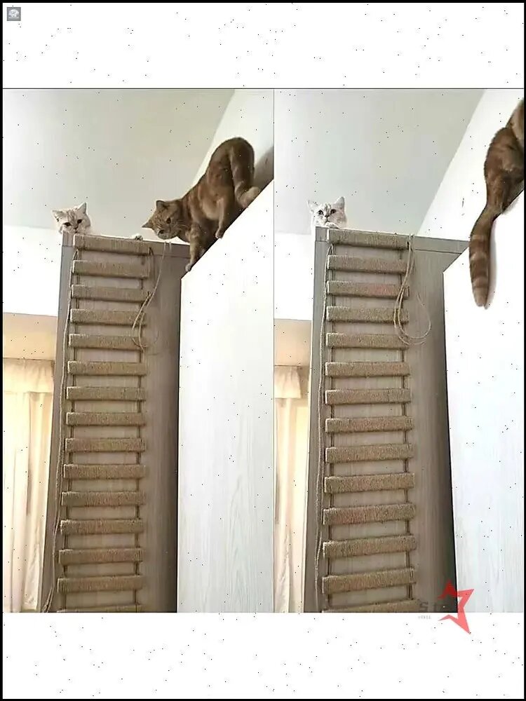 Лестница для кошек, когтеточка-лесенка 100x25 см, подвесная, бежевая — фото 1