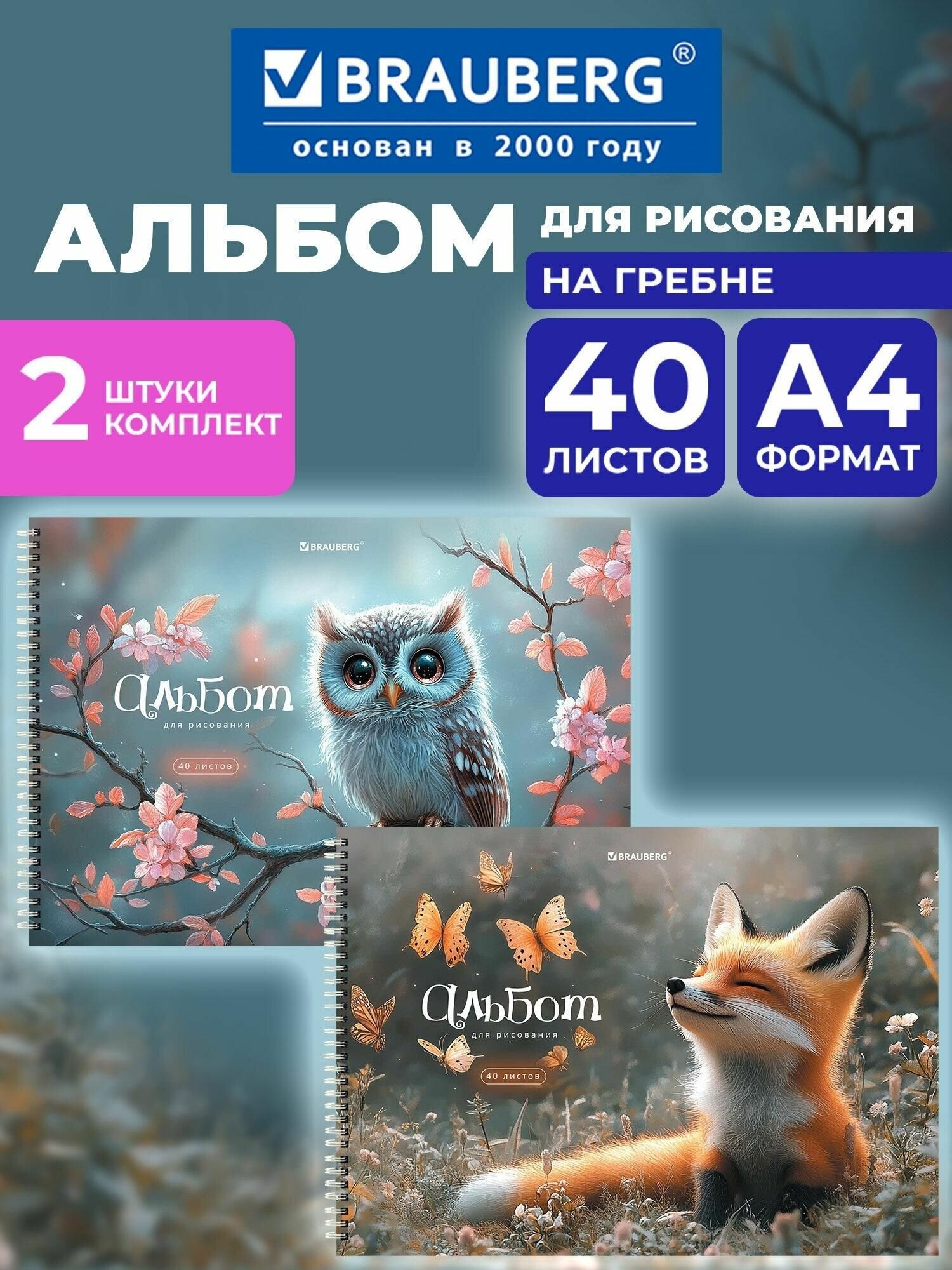 Альбом для рисования Brauberg А4 40 листов на спирали, набор 2 штуки, обложка картон 107746