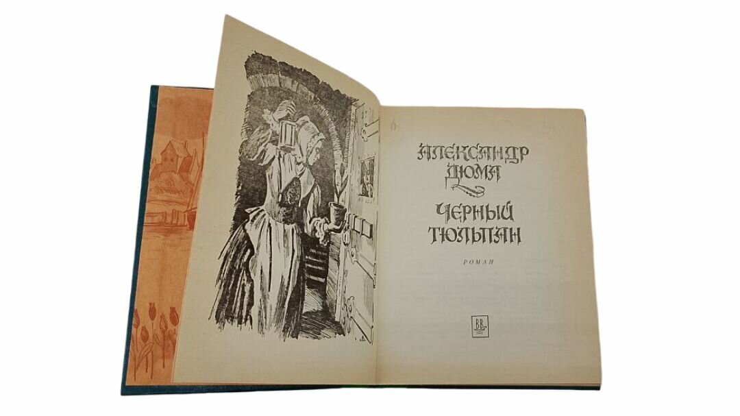 Черный тюльпан — фото 1