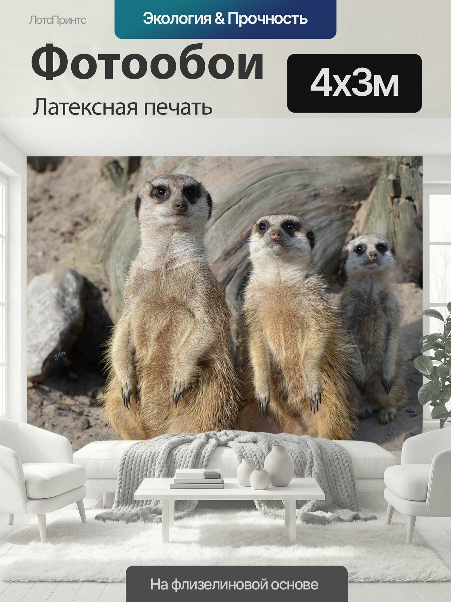 Фотообои моющиеся ударопрочные "Сурикат, зоопарк, милый" 400x300 см. латексная печать