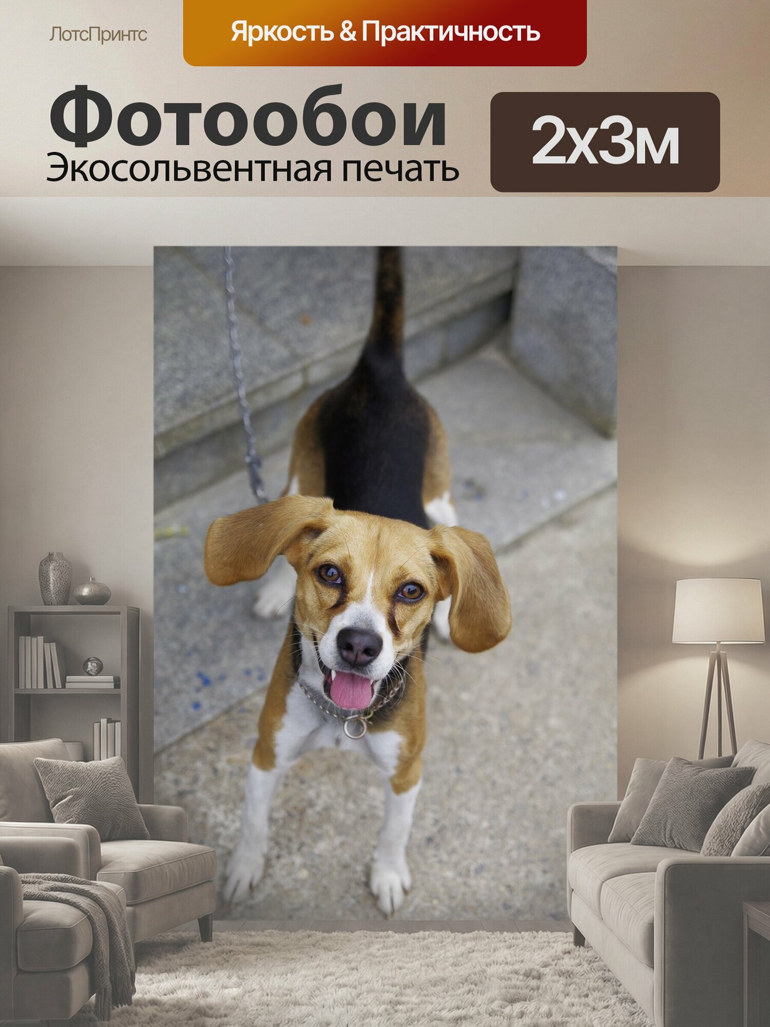Фотообои "Бигль харриер, щенок, собака" 200x300 см. экосольвентная печать