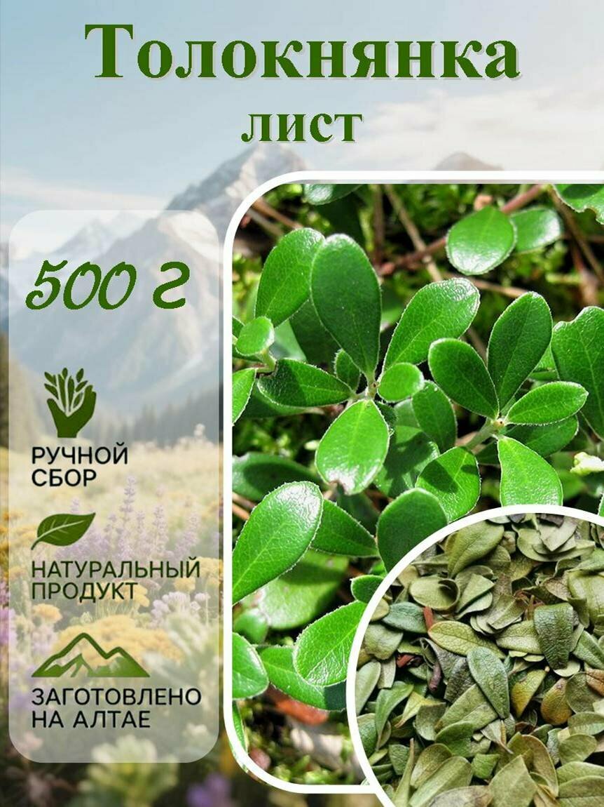 Толокнянка обыкновенная листья (медвежьи ушки), 500 грамм, АлтайМир